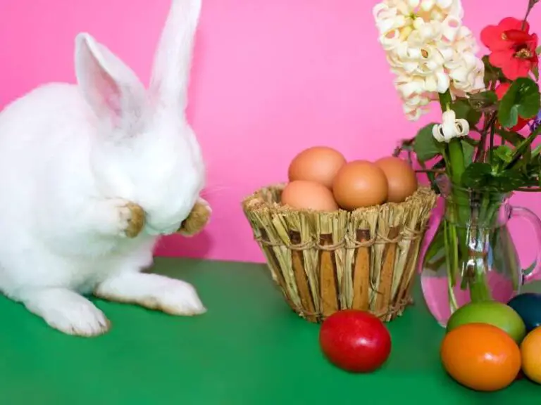 27 FUN AND CREATIVE EASTER ACTIVITIES FOR PRESCHOOLERS - padebby