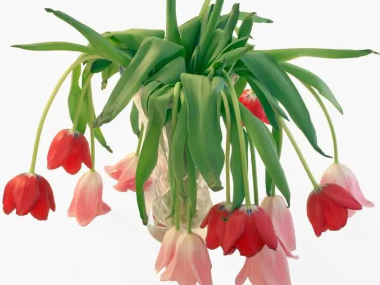19 STUNNING TIPS FOR ARRANGING SPRING FLOWERS - padebby