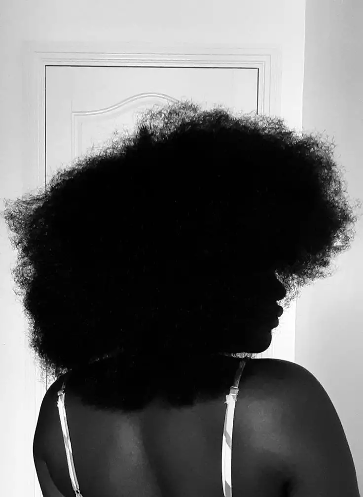 HOW TO DETANGLE 4C HAIR WITHOUT BREAKAGE - padebby