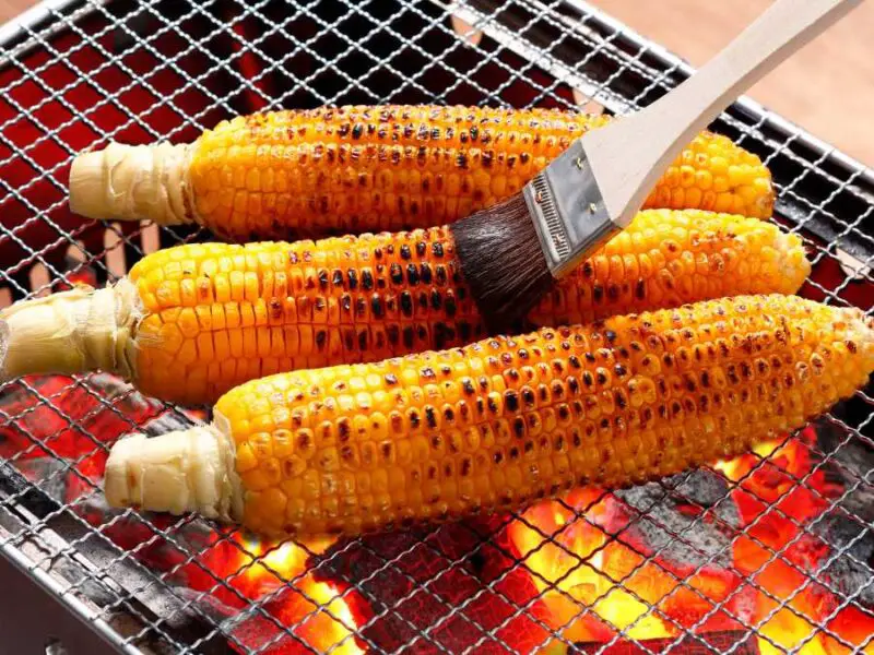 35 Delicious Labor Day BBQ Ideas - padebby